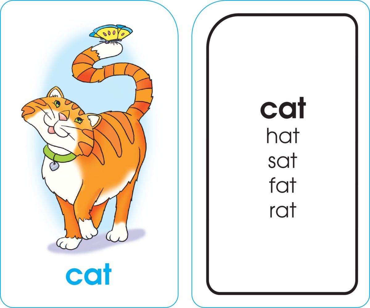 School Zone – Word Families Flash Cards – Ages 4 and Up – Shop876kids